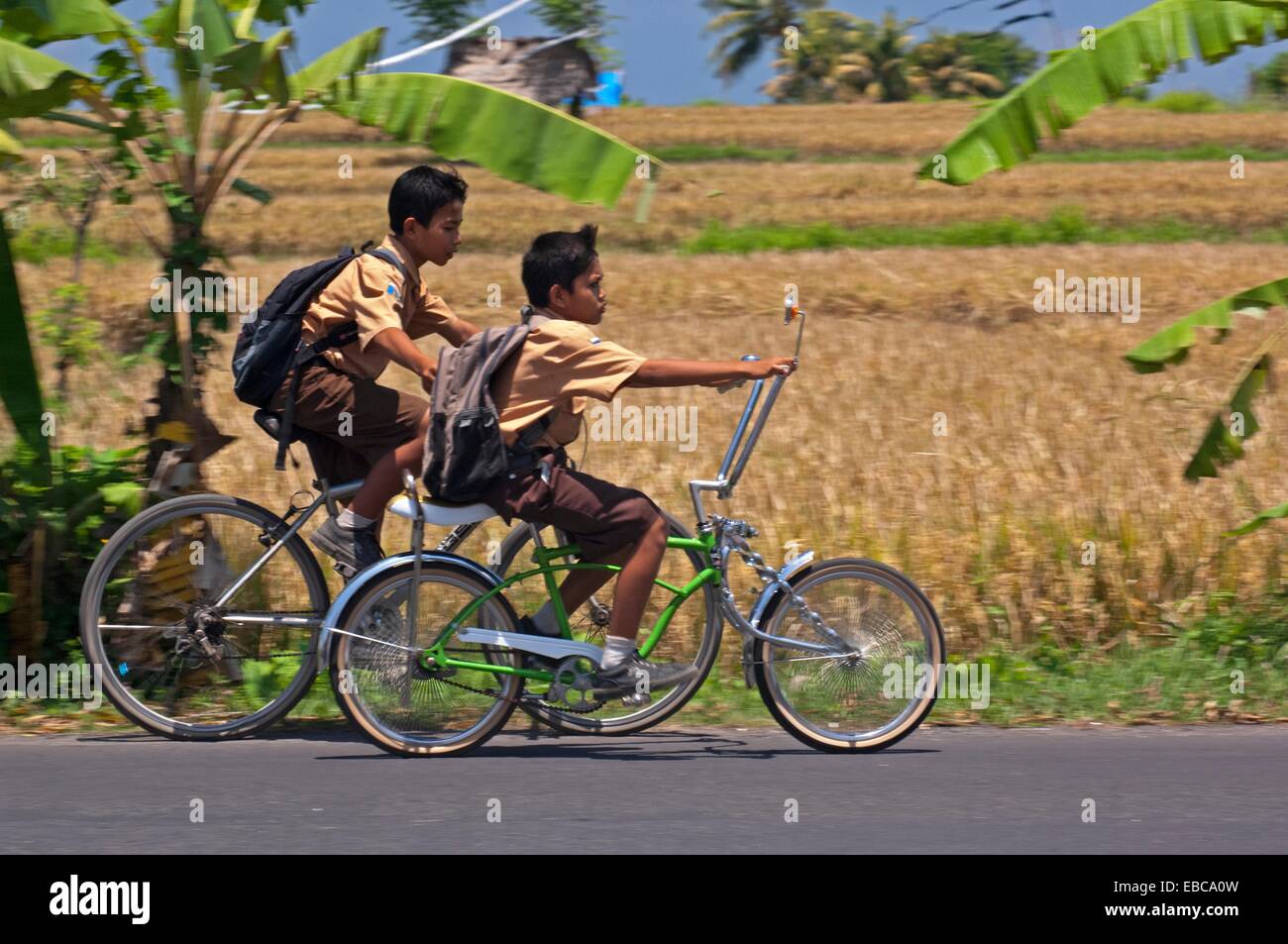 Bali field cycle hi-res stock photography and images - Alamy