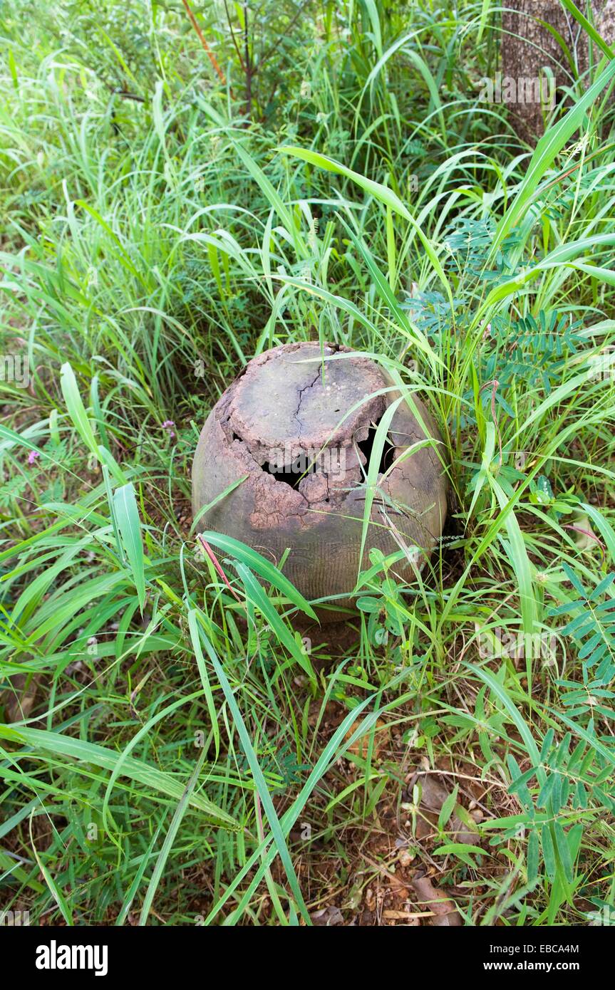 Somba Stock Photos & Somba Stock Images - Alamy