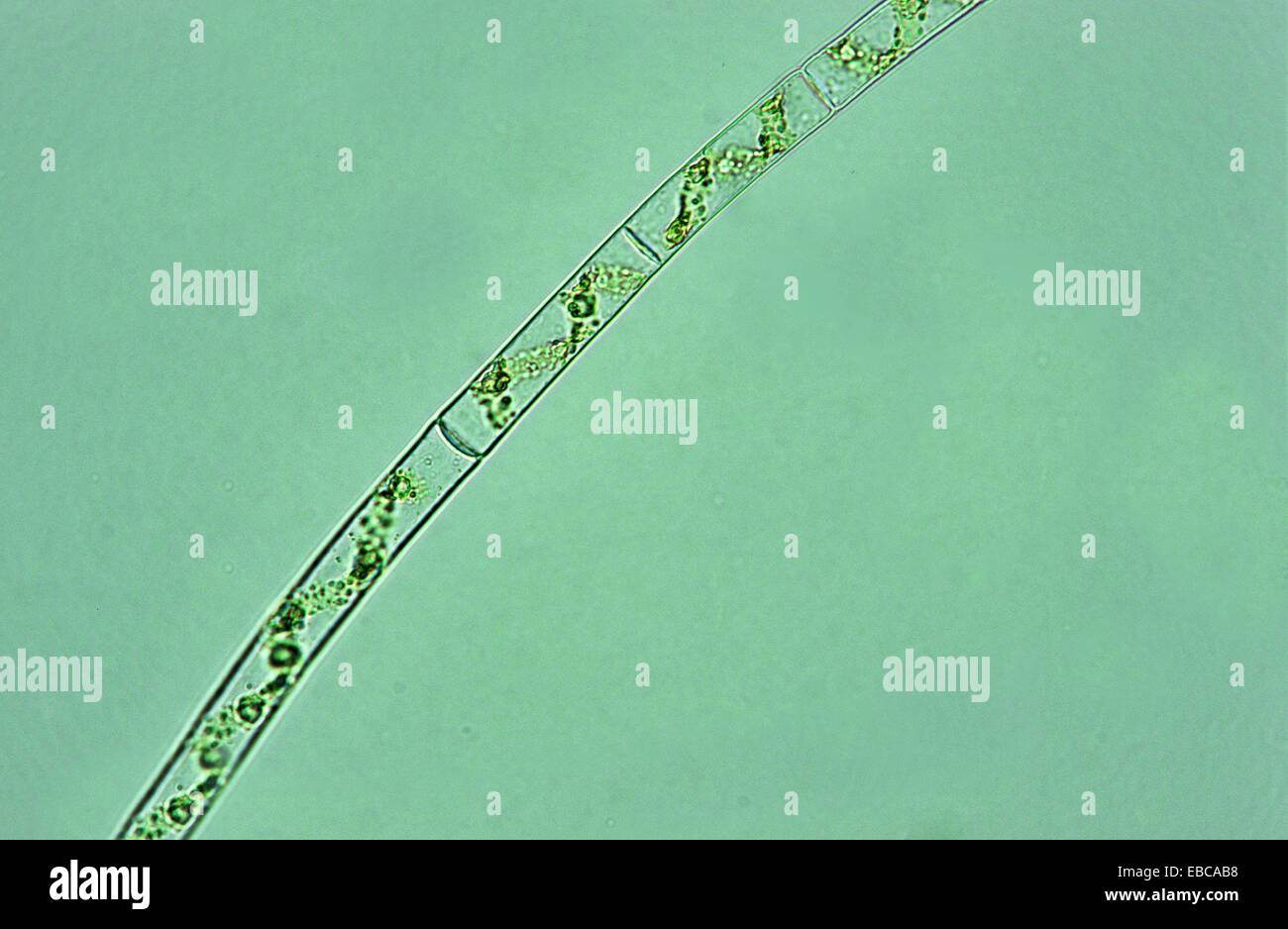 400x Stock Photos & 400x Stock Images - Alamy