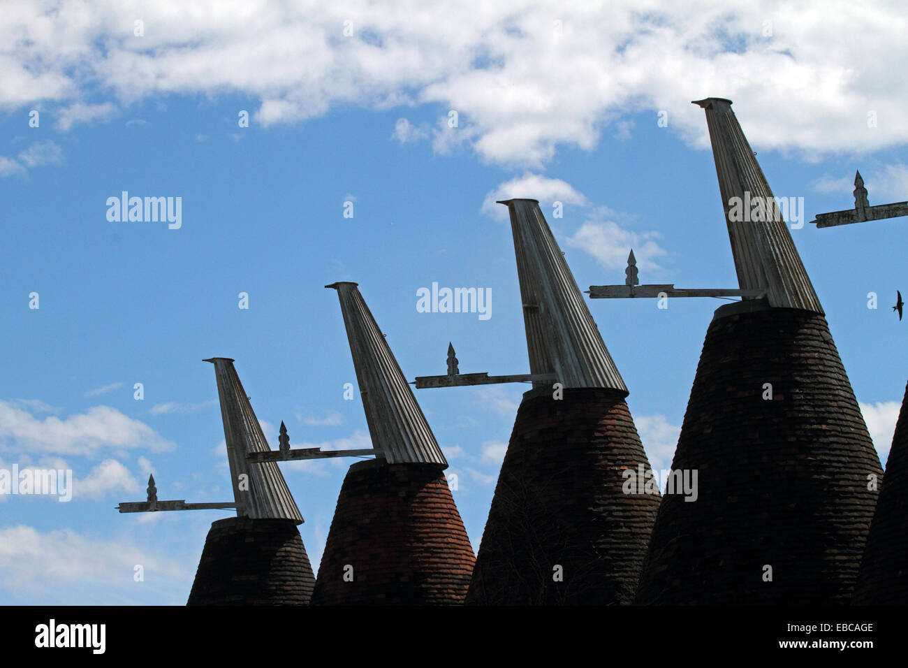 Kent hop farm hi-res stock photography and images - Alamy