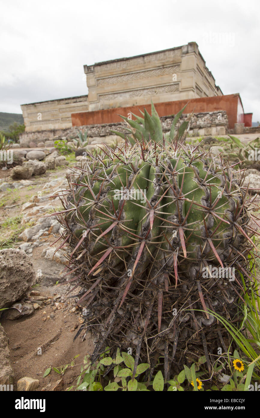 Grecas High Resolution Stock Photography and Images - Alamy