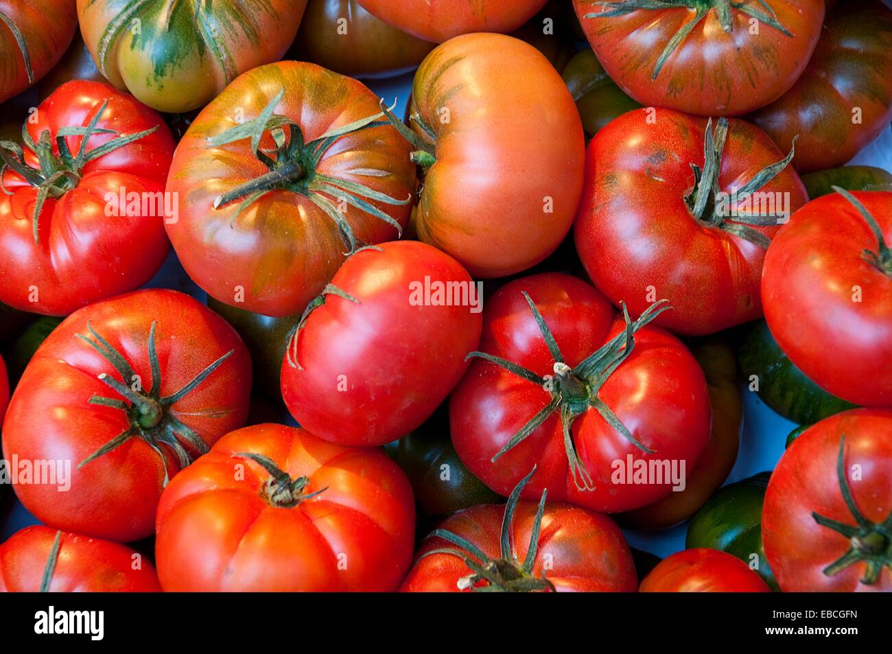 Tomato raff hi-res stock photography and images - Alamy