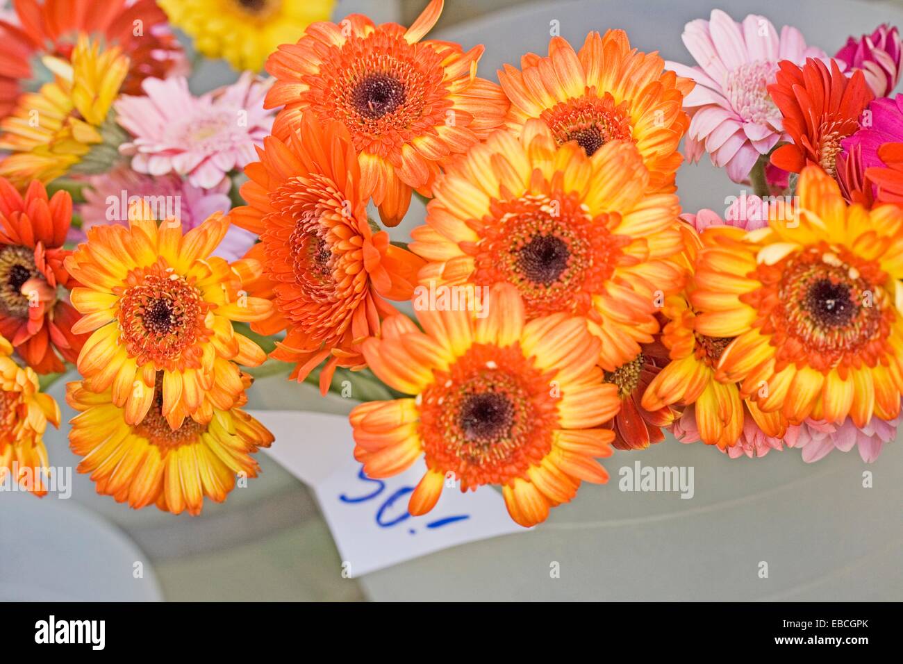 Spring flowers florist buckets hi-res stock photography and images - Alamy