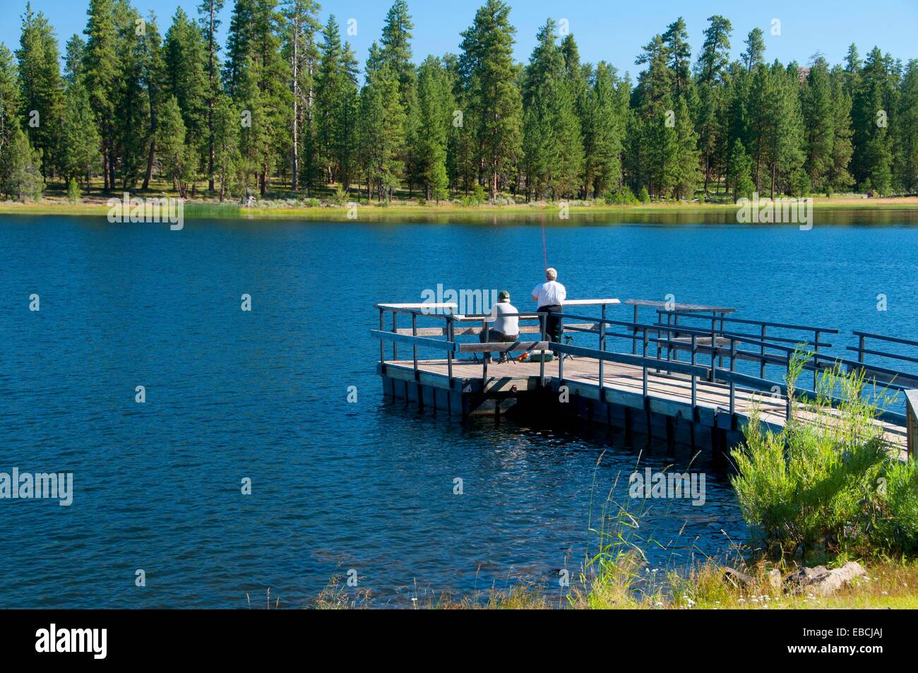 Delintment hi-res stock photography and images - Alamy