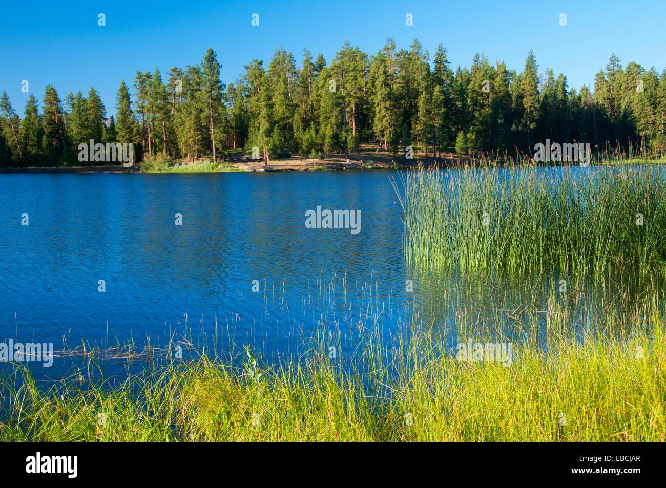 Delintment lake oregon hi-res stock photography and images - Alamy