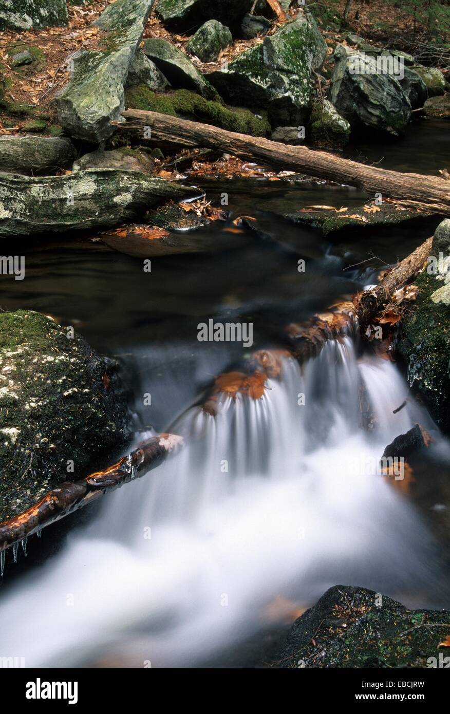 Jim brook hi-res stock photography and images - Alamy