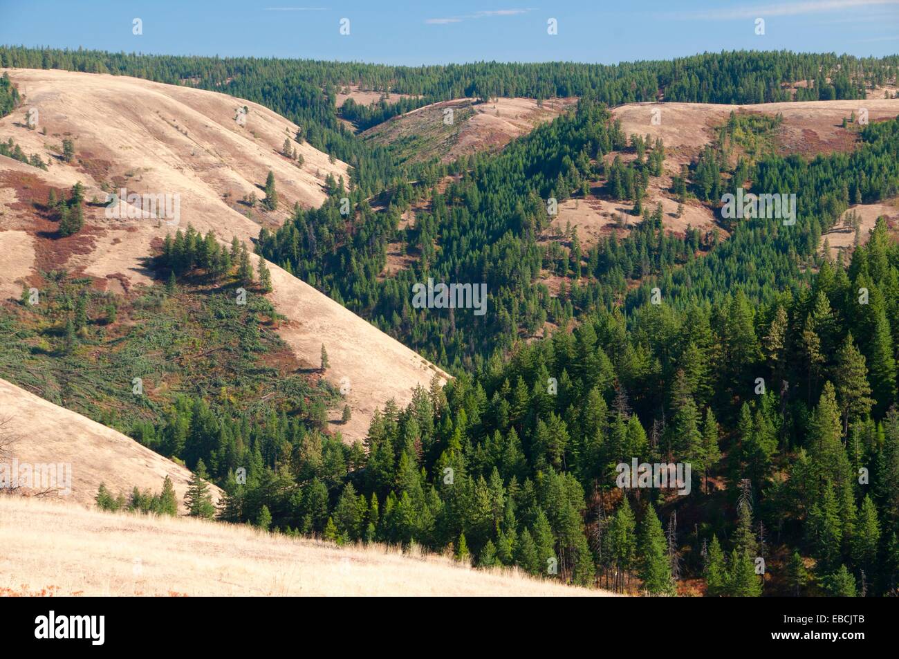 Emigrant springs hi-res stock photography and images - Alamy