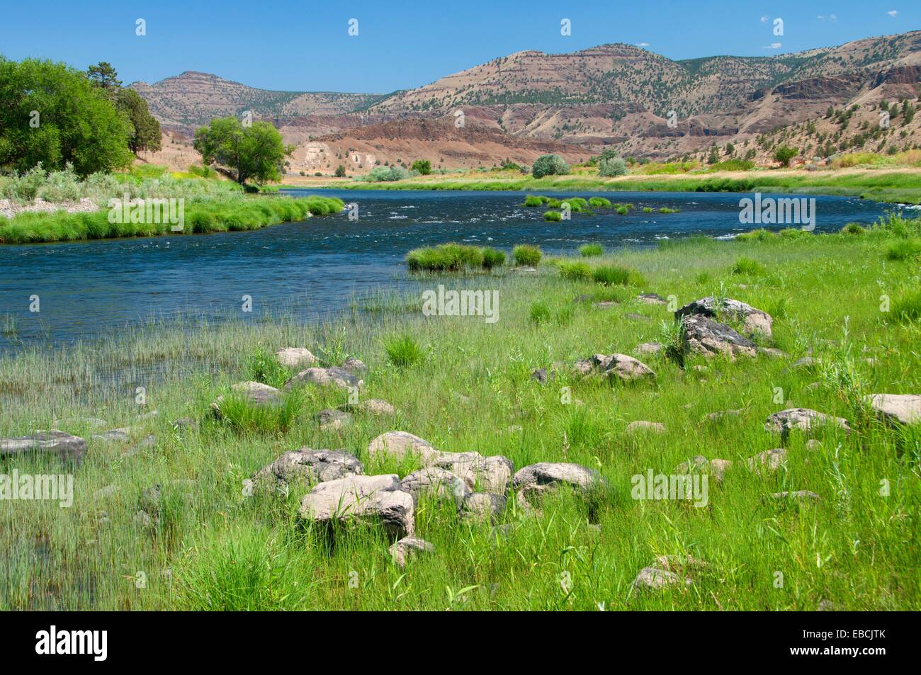 Near twickenham hi-res stock photography and images - Alamy
