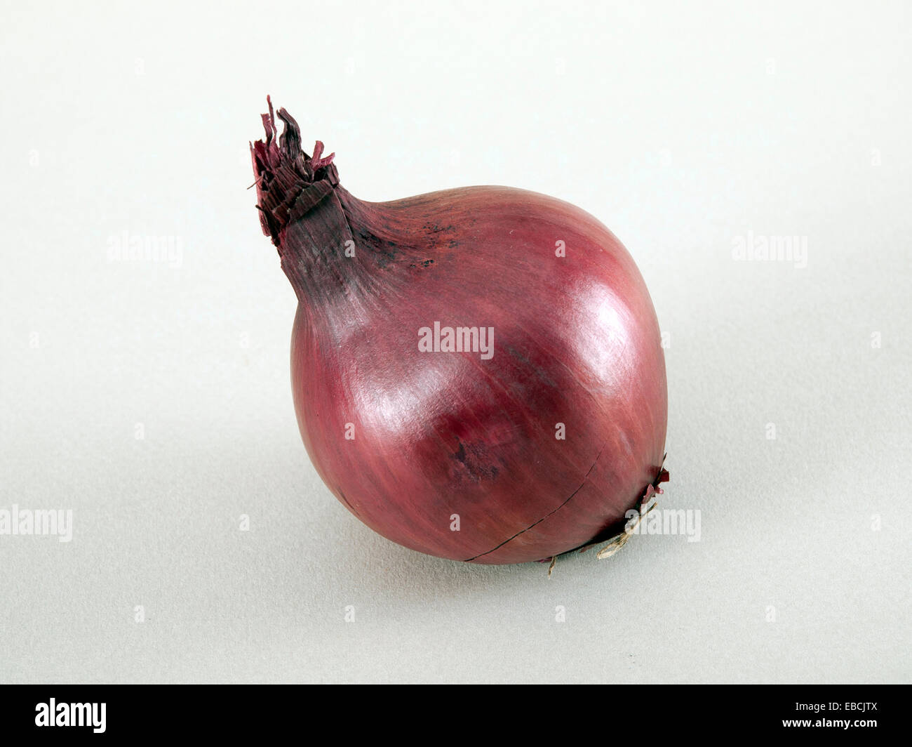Whole onion plant hi-res stock photography and images - Alamy