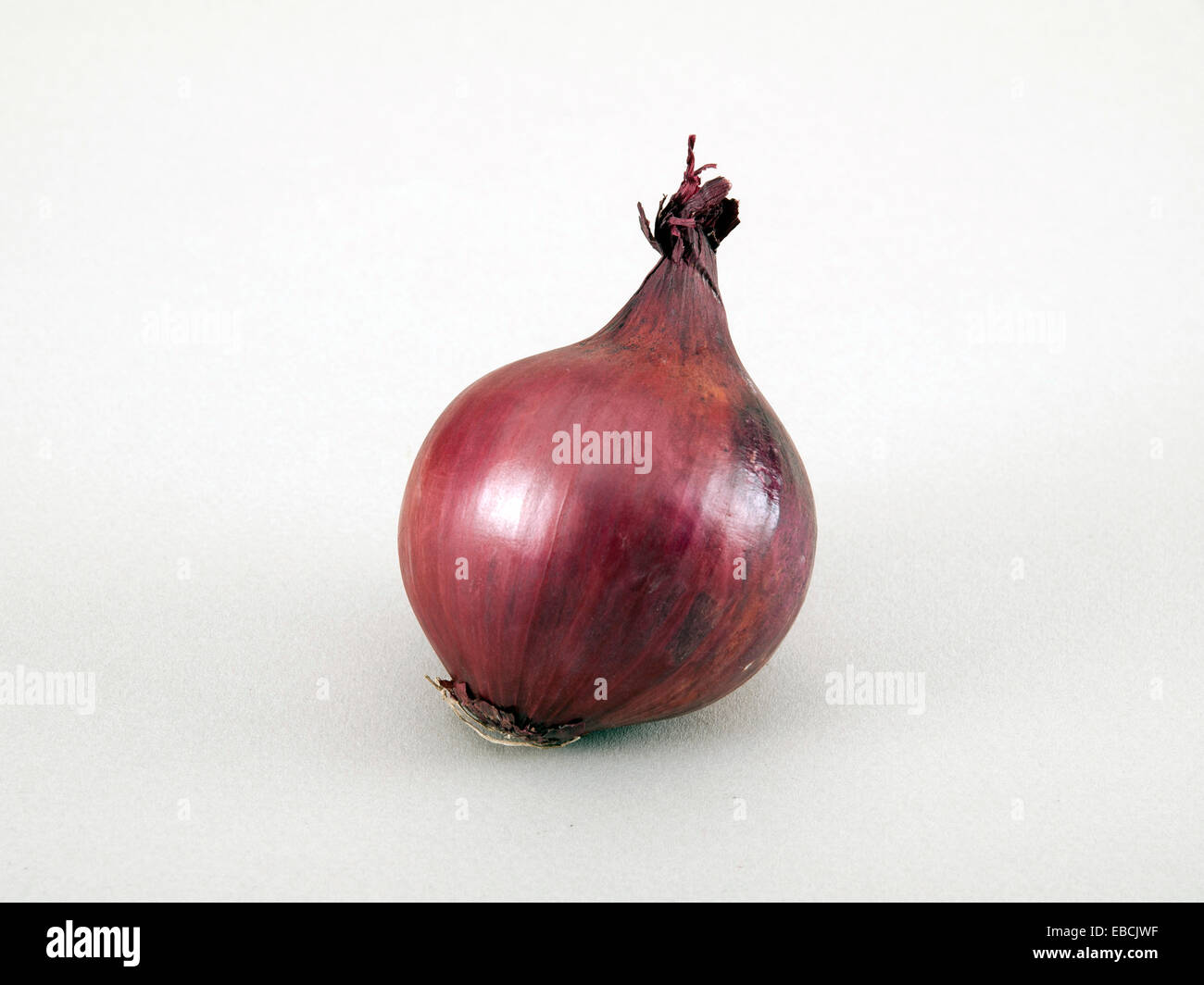 Onion condiment hi-res stock photography and images - Alamy