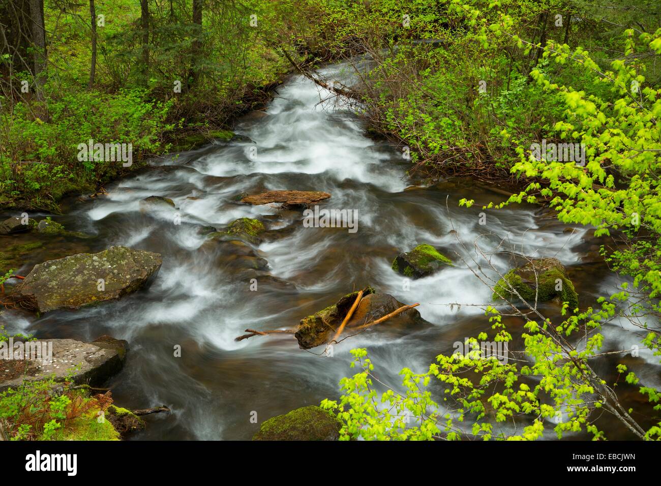 Malheur national forest hi-res stock photography and images - Alamy