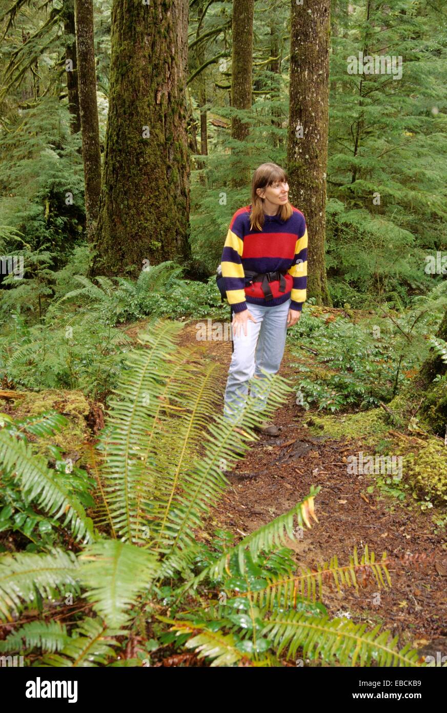 Doerner fir hi-res stock photography and images - Alamy