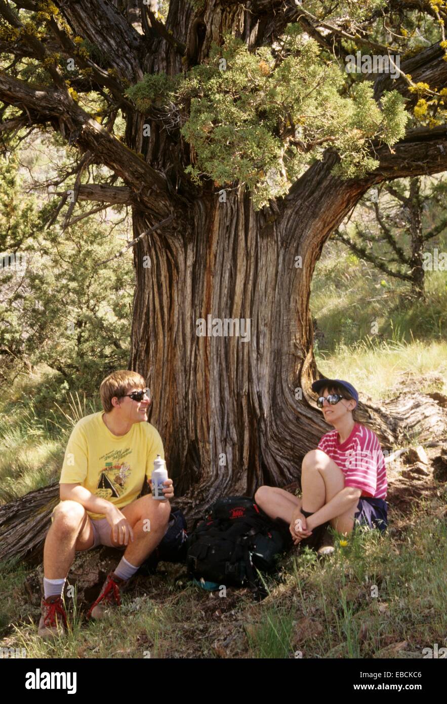 Gray butte trail hi-res stock photography and images - Alamy