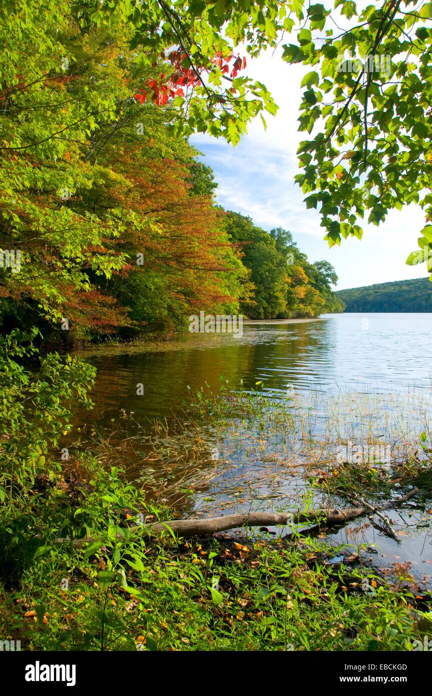 Uncas Pond, Nehantic State Forest, Connecticut Stock Photo - Alamy