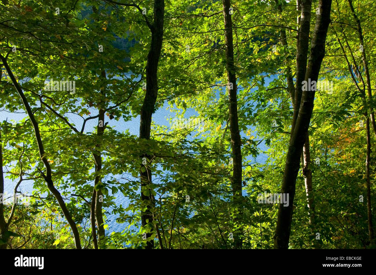 Uncas High Resolution Stock Photography and Images - Alamy