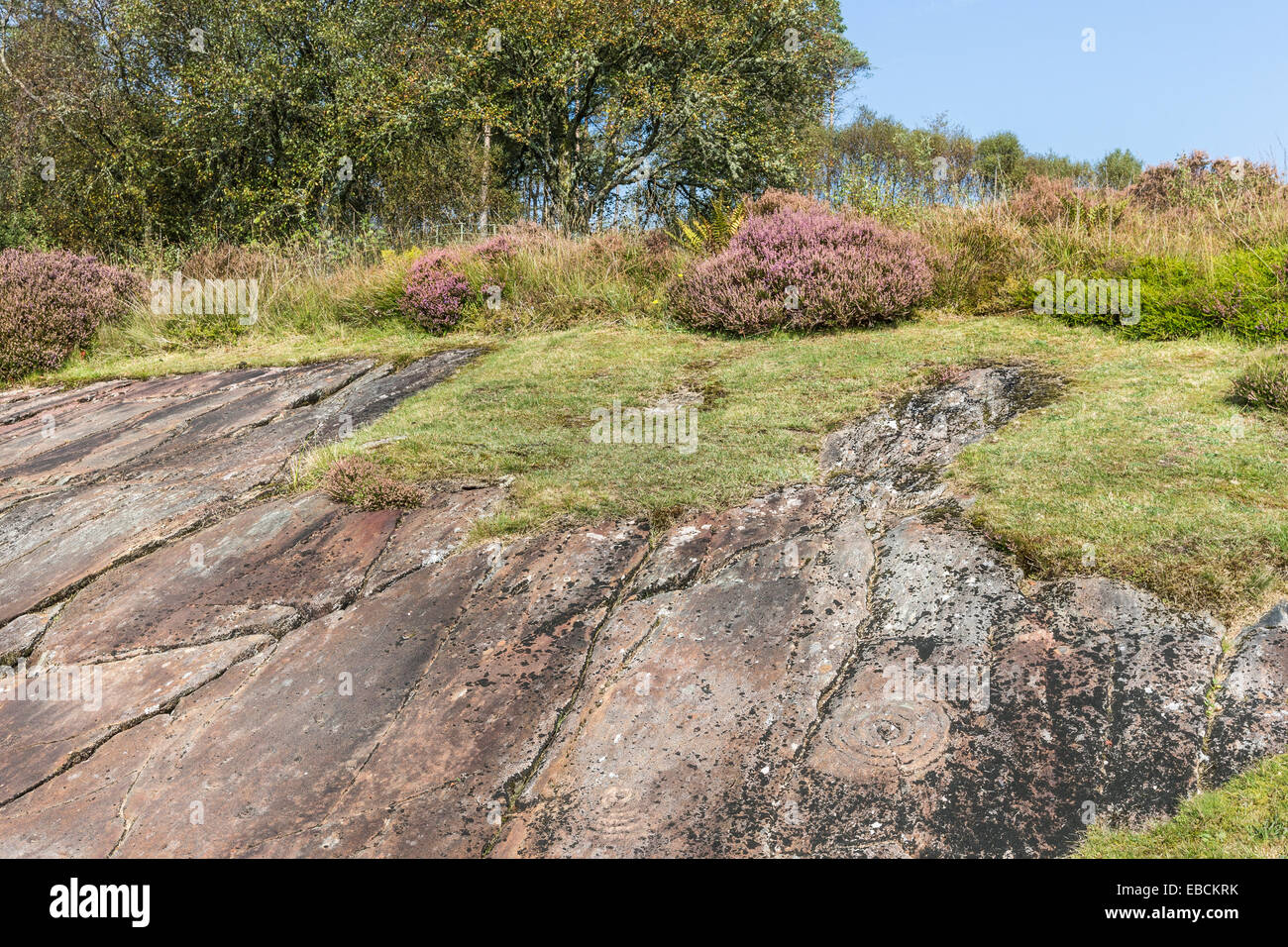 Cup & Beaker Symbols at Achnabreac in Scotland Stock Photo - Alamy