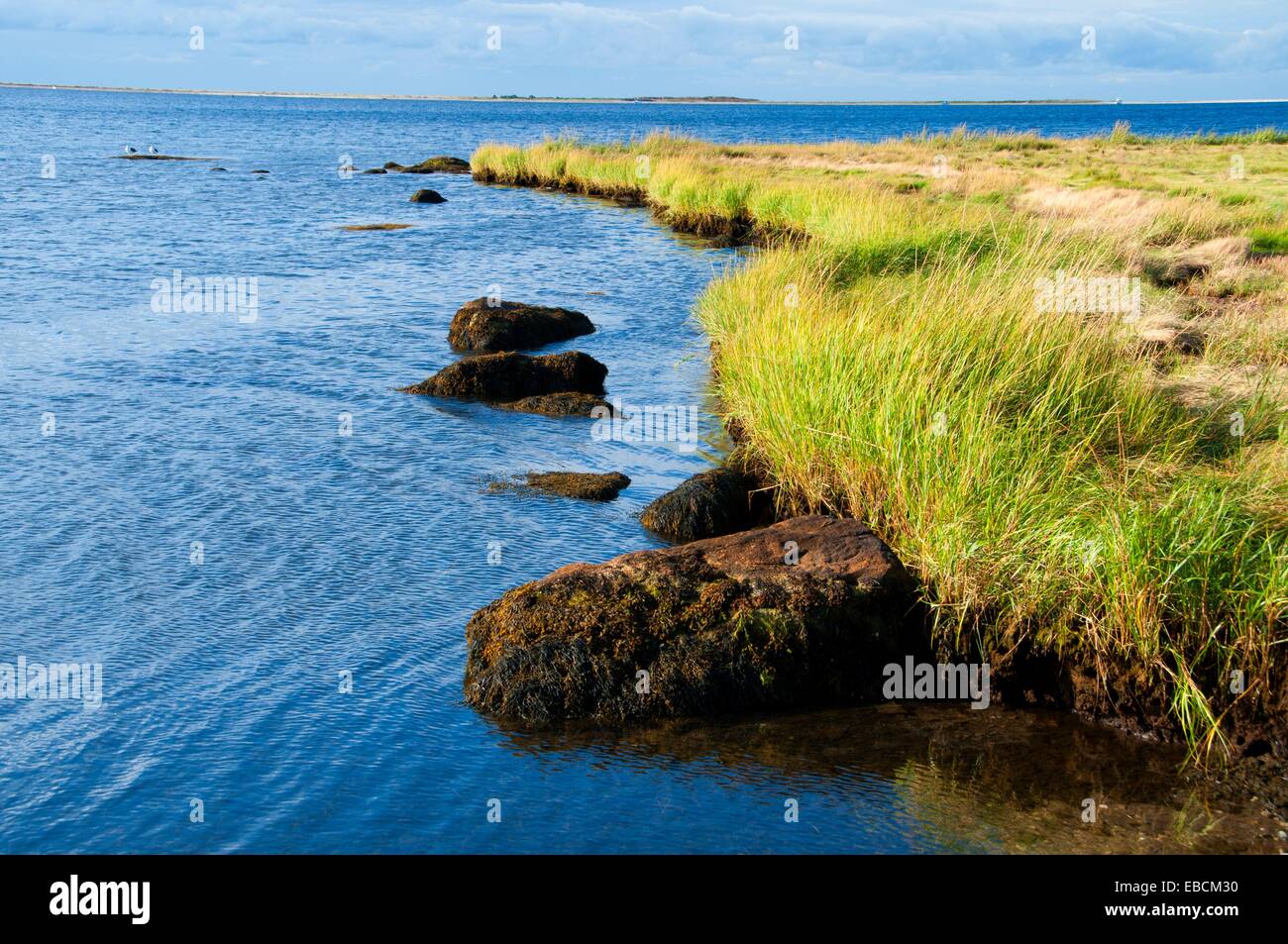 Little narragansett bay hi-res stock photography and images - Alamy