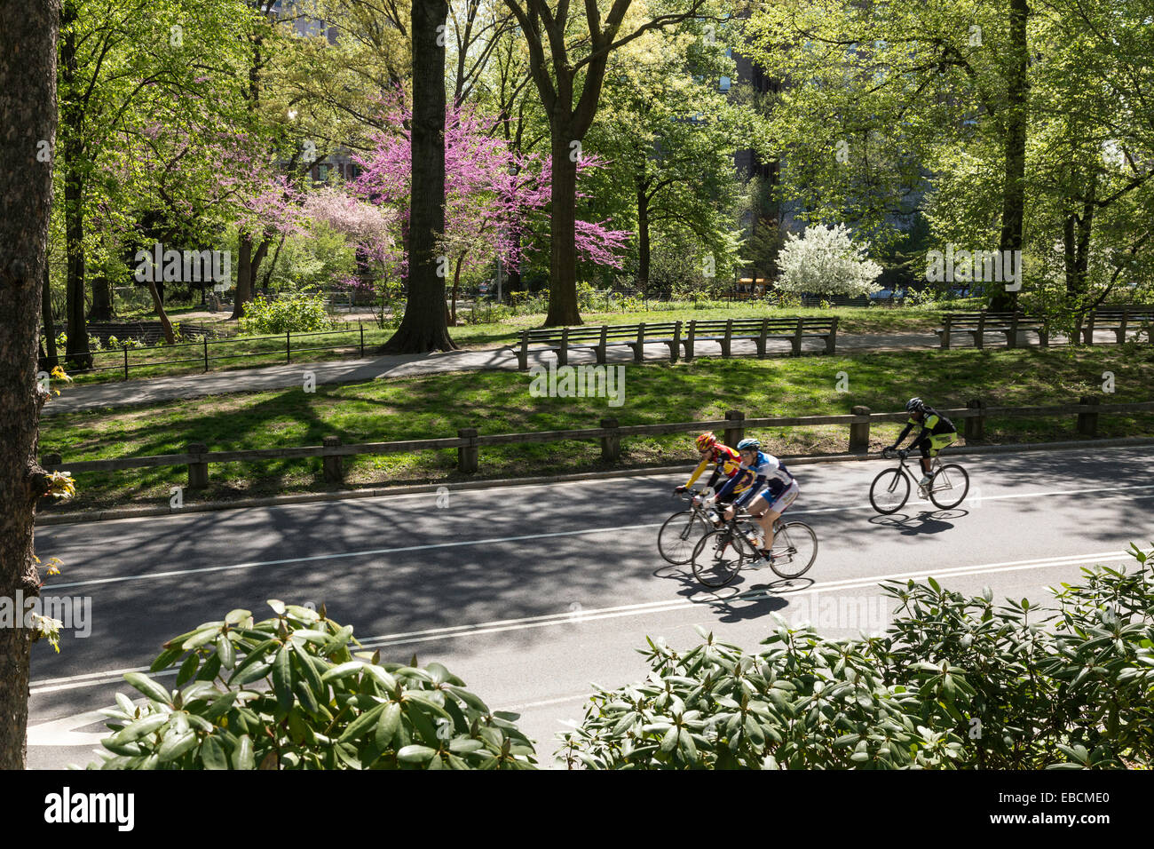 Springtime, Central Park, NYC, USA Stock Photo - Alamy