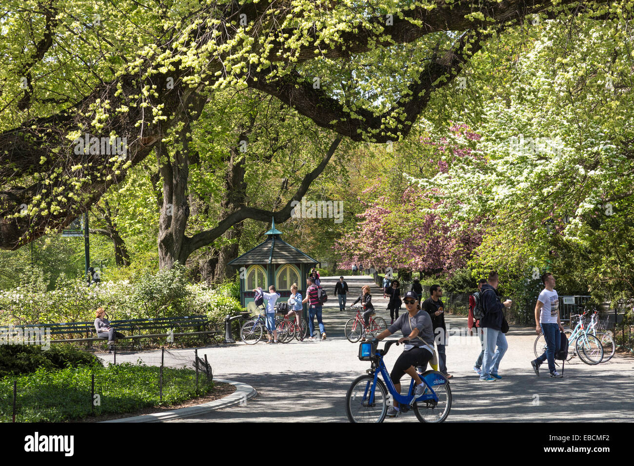 Springtime, Central Park, NYC, USA Stock Photo - Alamy