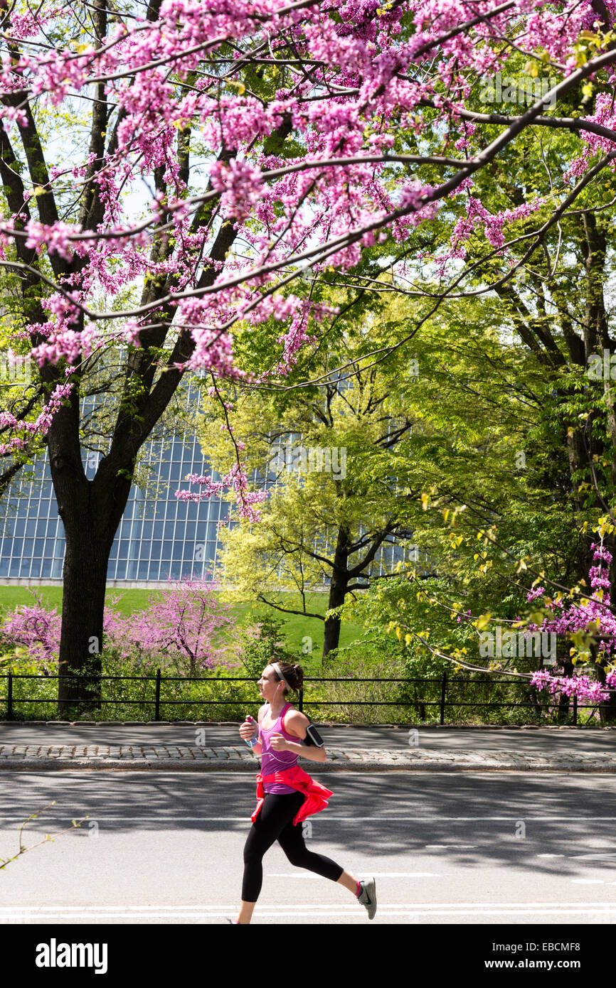 Run runner jog jogger central park hi-res stock photography and images ...