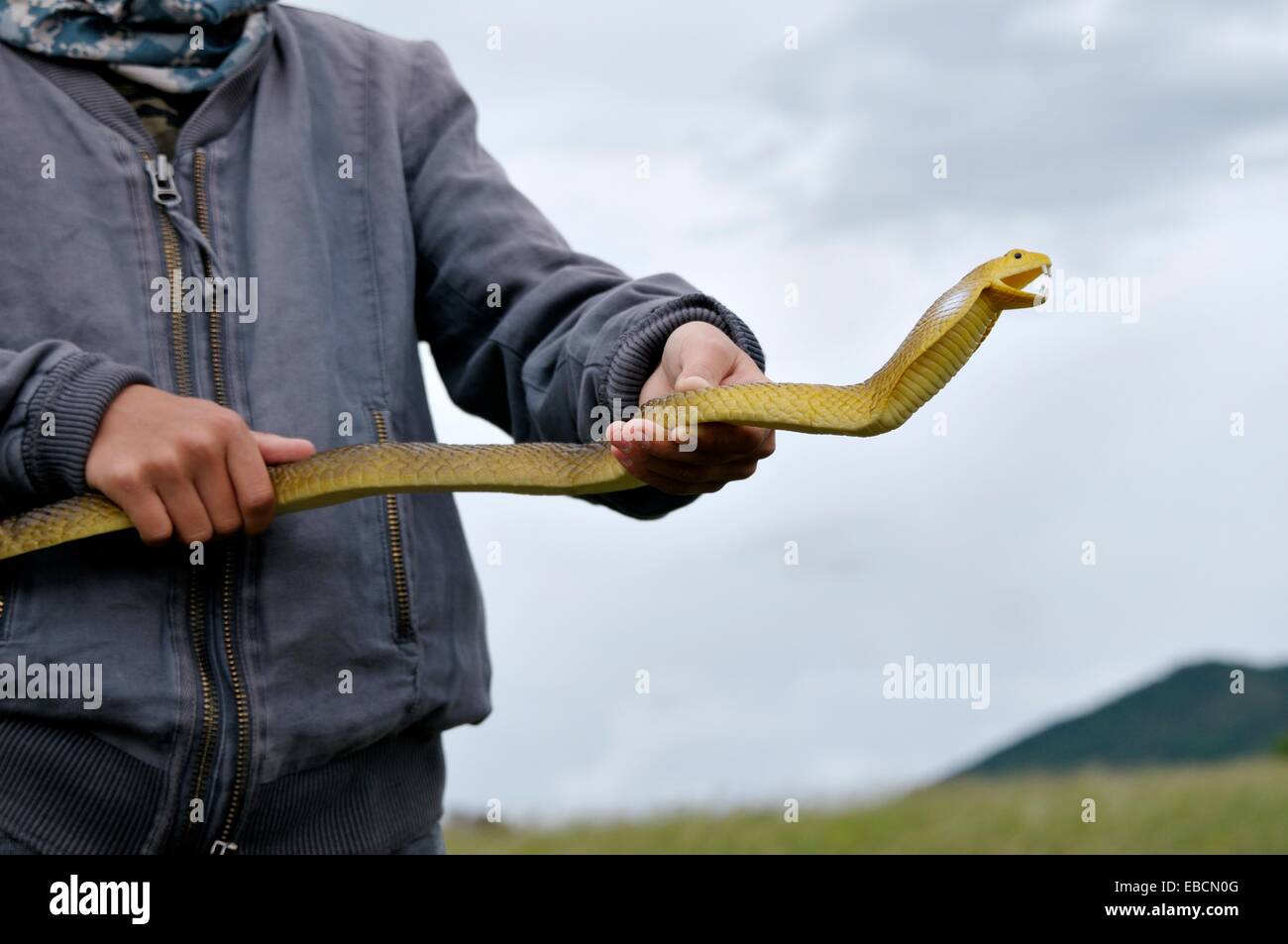 Snake thing hi-res stock photography and images - Alamy