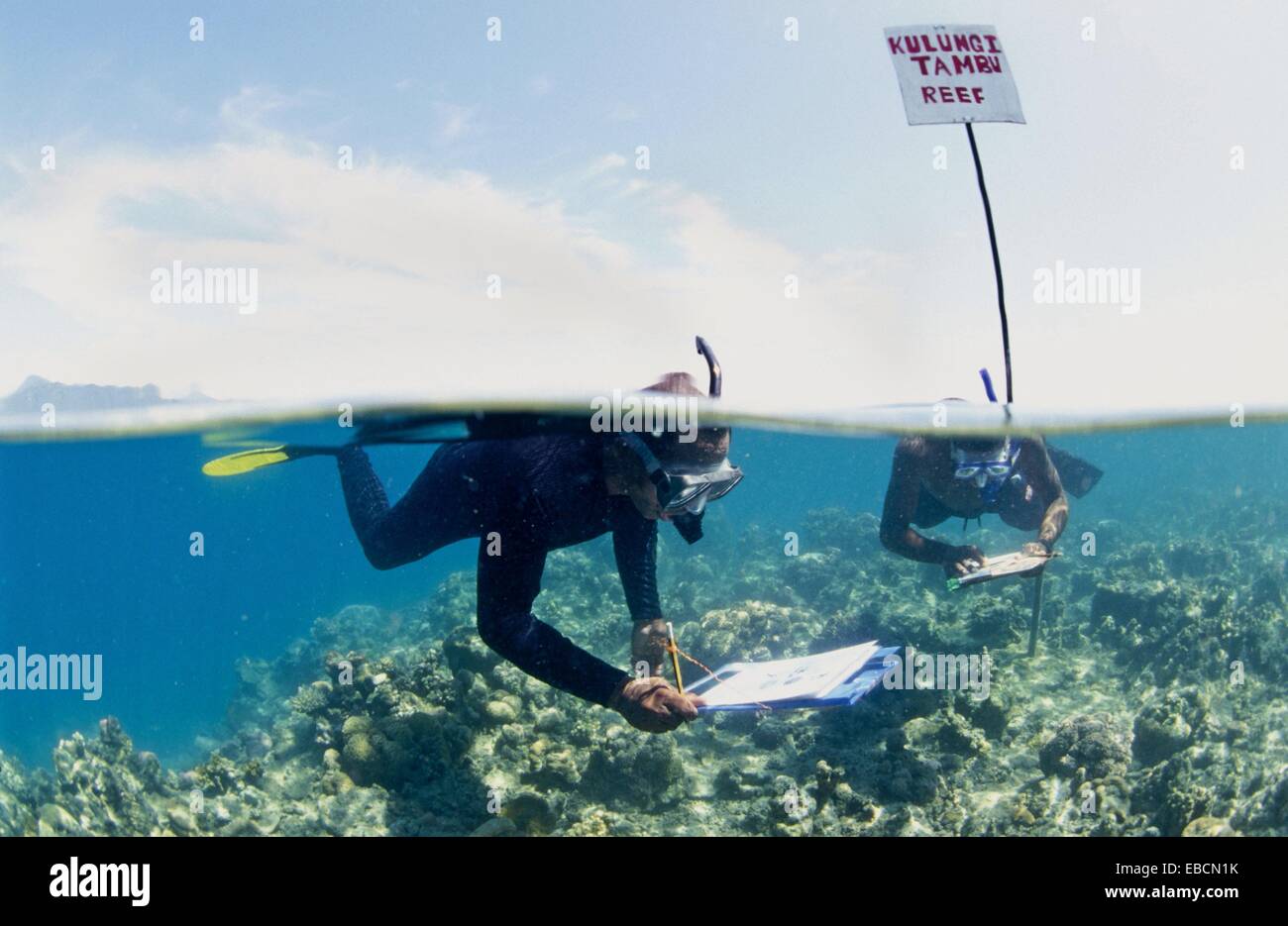 Kimbe bay reef hi-res stock photography and images - Alamy
