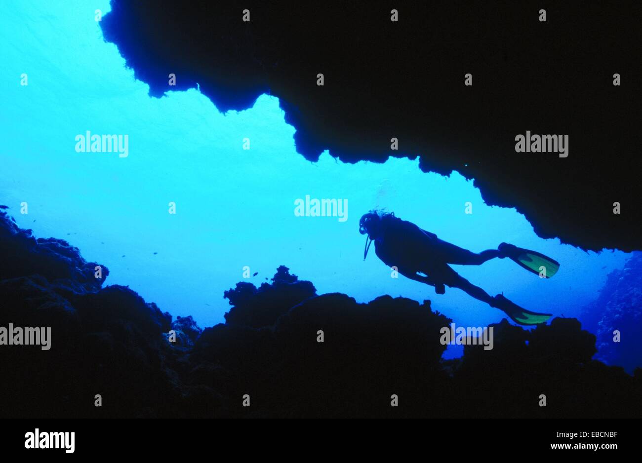 Diver in sea caves Kadavu, Fiji Stock Photo - Alamy