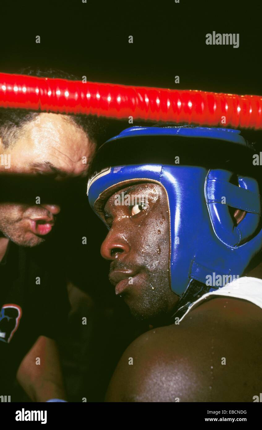 Portrait of boxer Stock Photo - Alamy