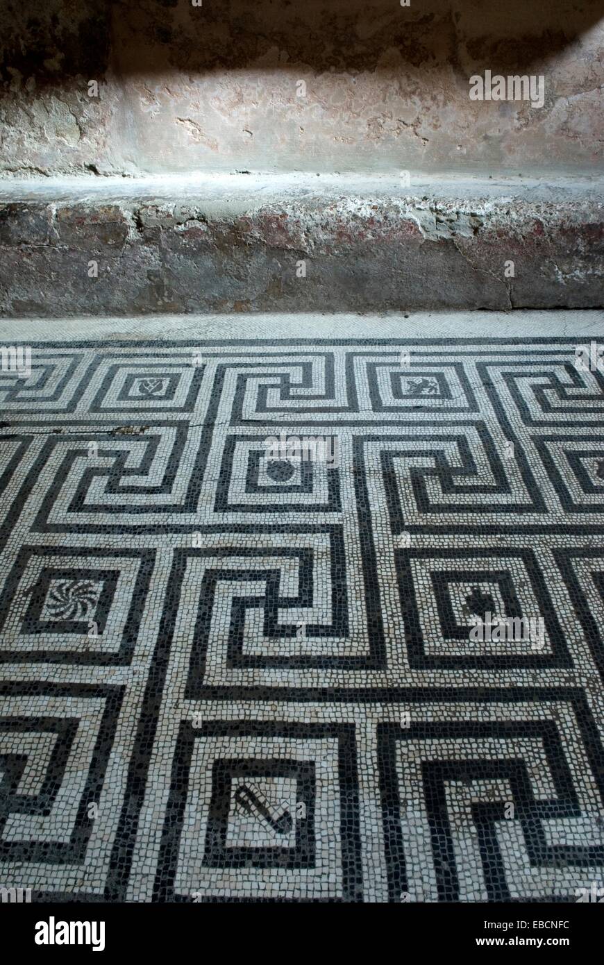 Tessellatum hi-res stock photography and images - Alamy