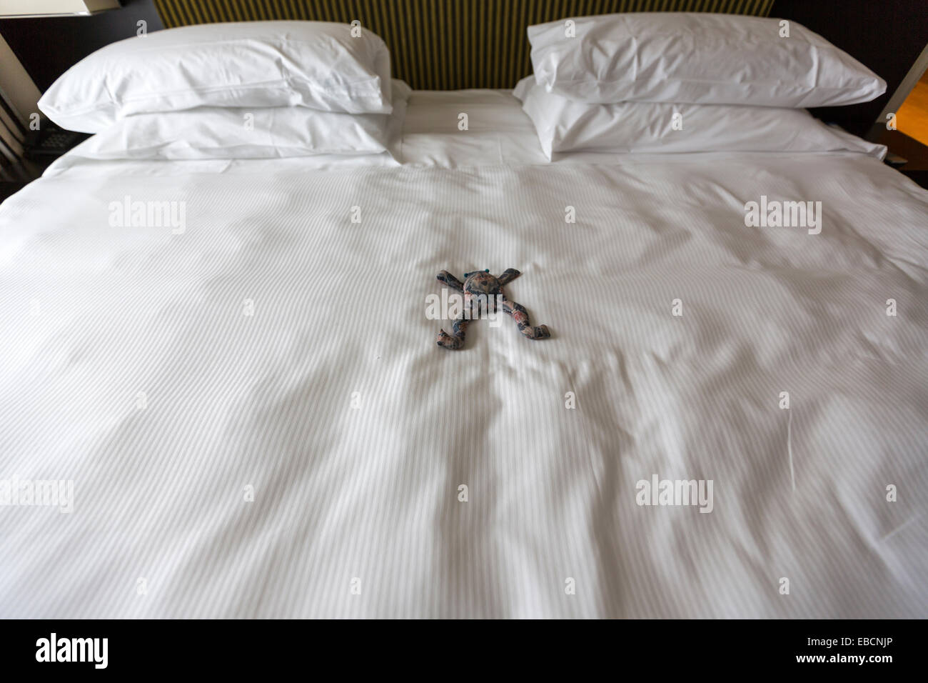 Frog hotel hi-res stock photography and images - Alamy