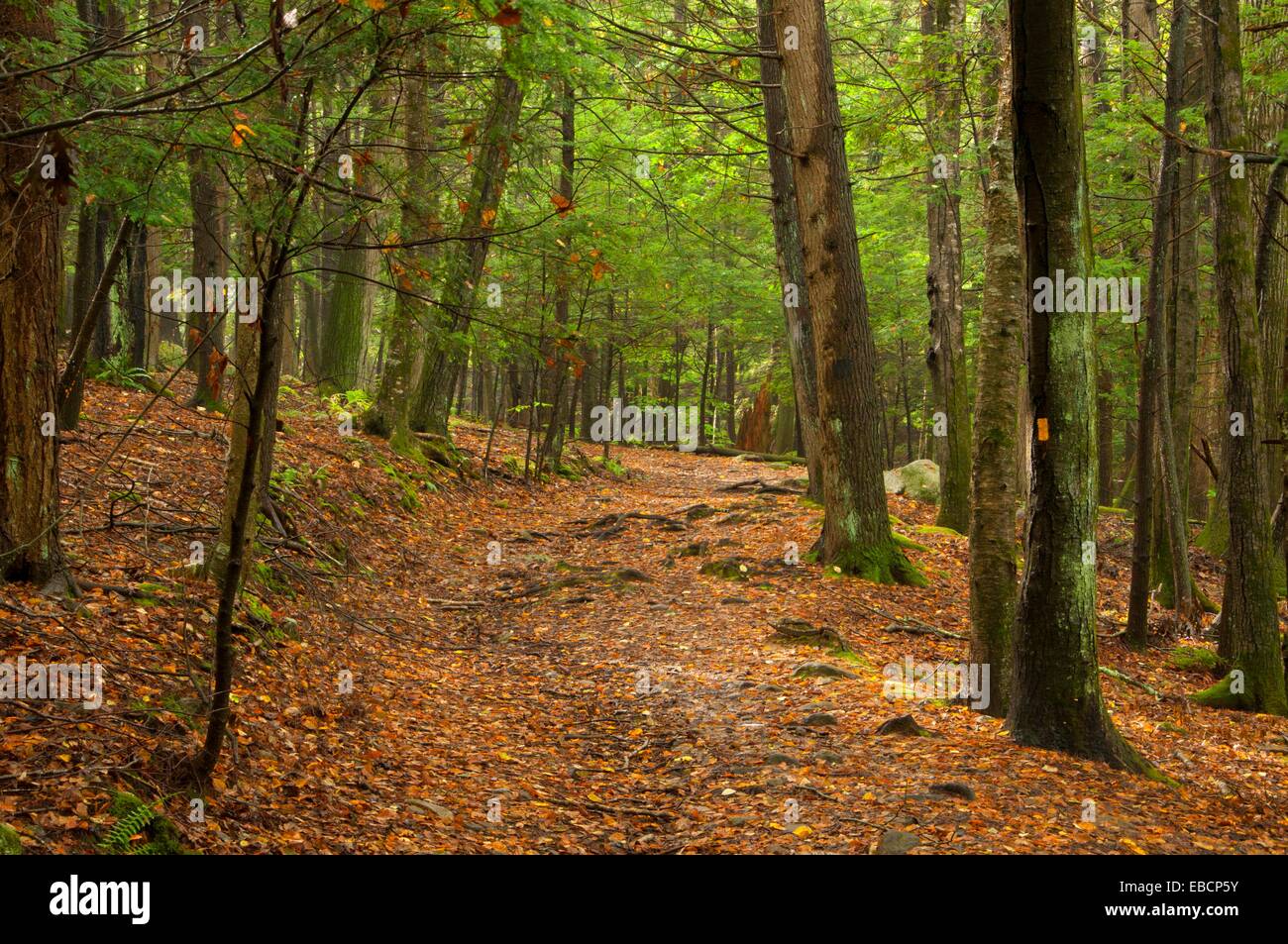 Shetucket river connecticut hi-res stock photography and images - Alamy