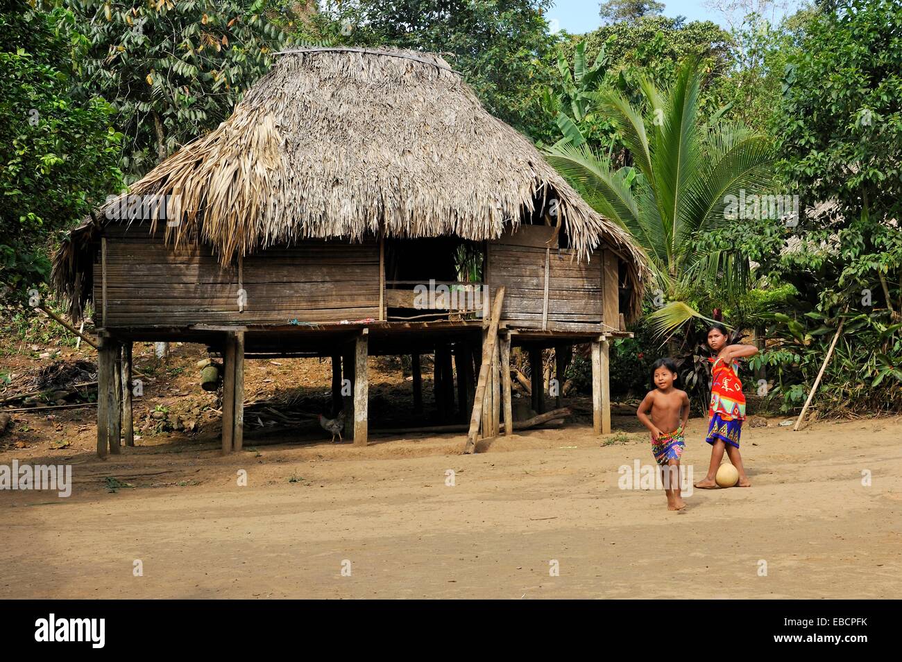 thatched house in a village of Embera native community living by the ...