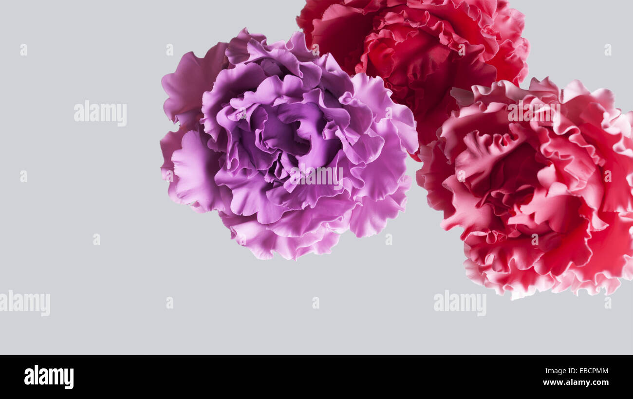 What to eat at weddings hi-res stock photography and images - Alamy