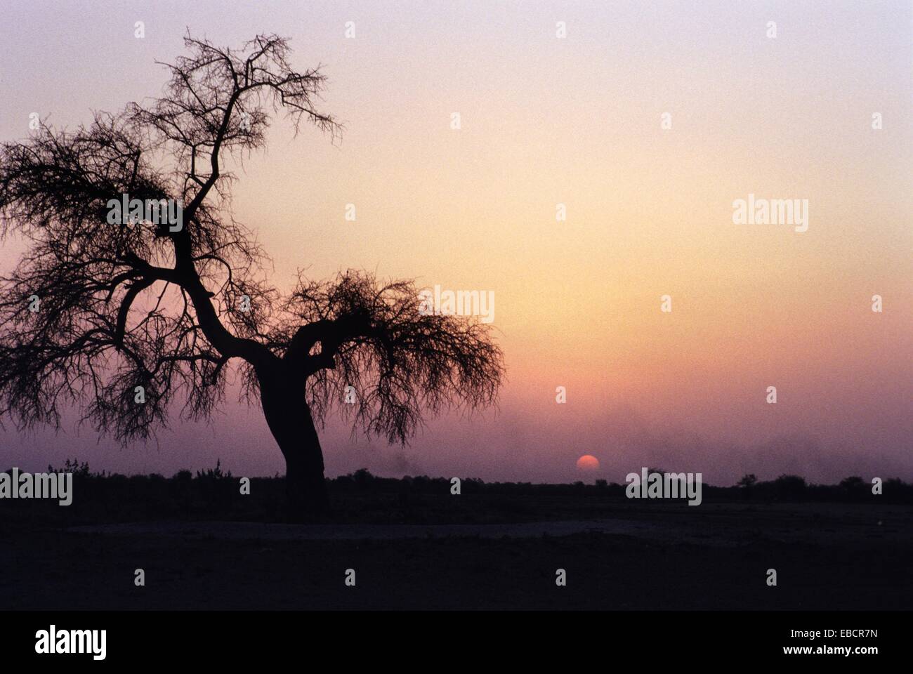 Chad africa landscape hi-res stock photography and images - Alamy