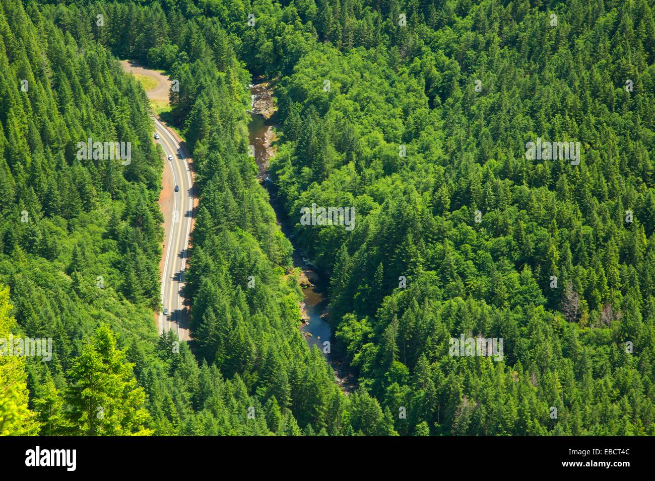 Tillamook state forest wilson river hi-res stock photography and images ...