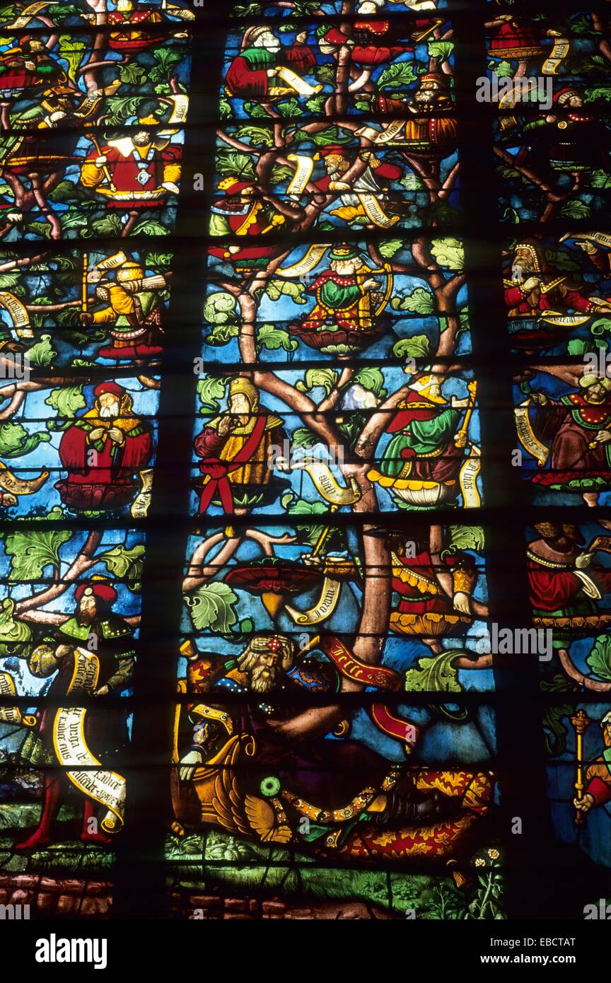 Tree of Jesse stained glass window of Ste Madeleine church, Troyes ...