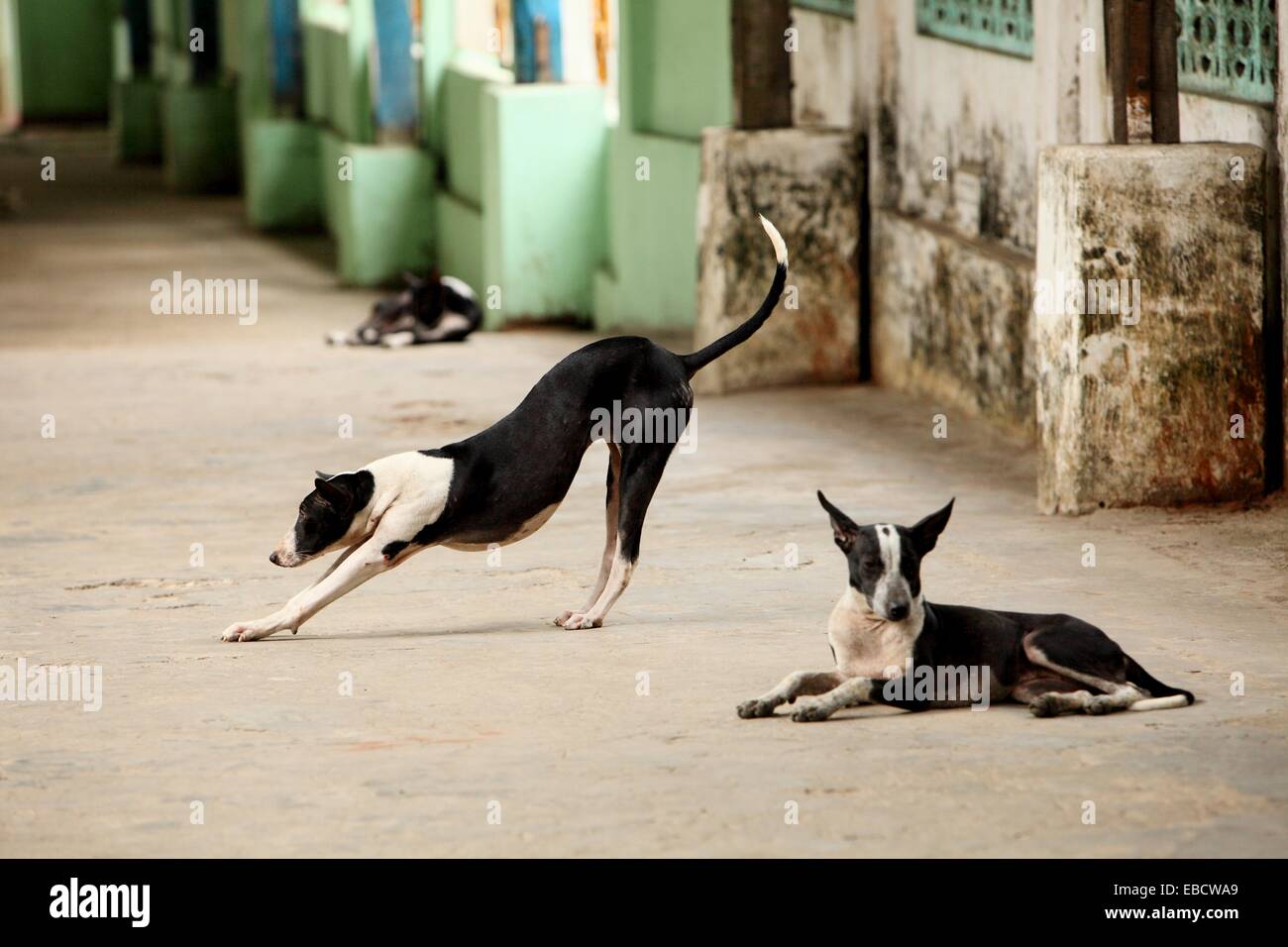 Yangon city alley hi-res stock photography and images - Alamy