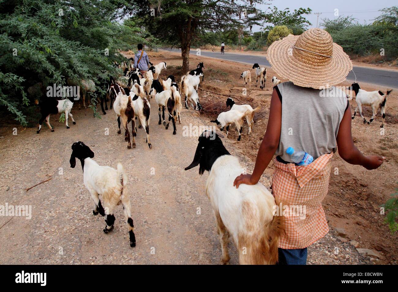 Boy shepherd hi-res stock photography and images - Alamy