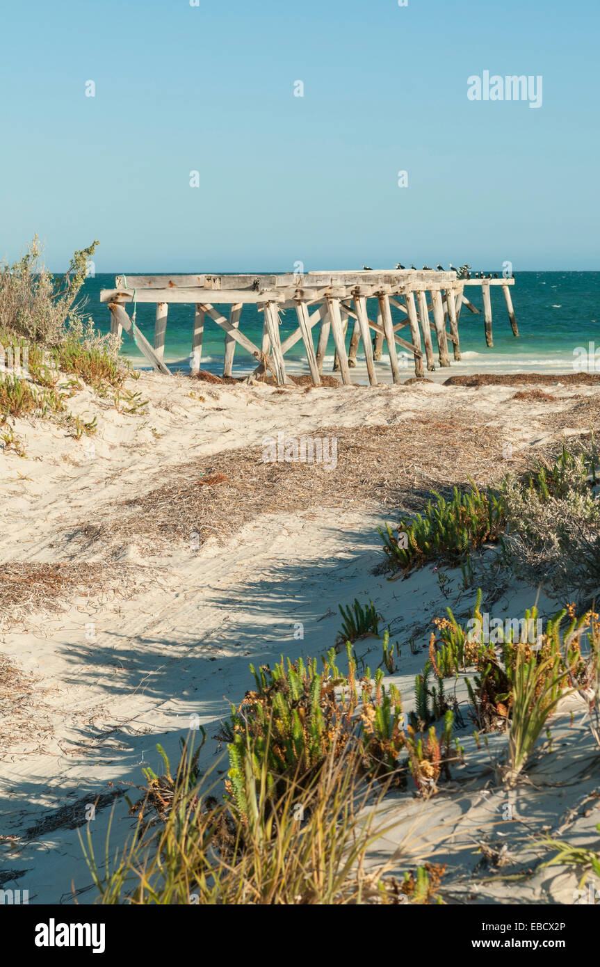 Eucla hi-res stock photography and images - Alamy