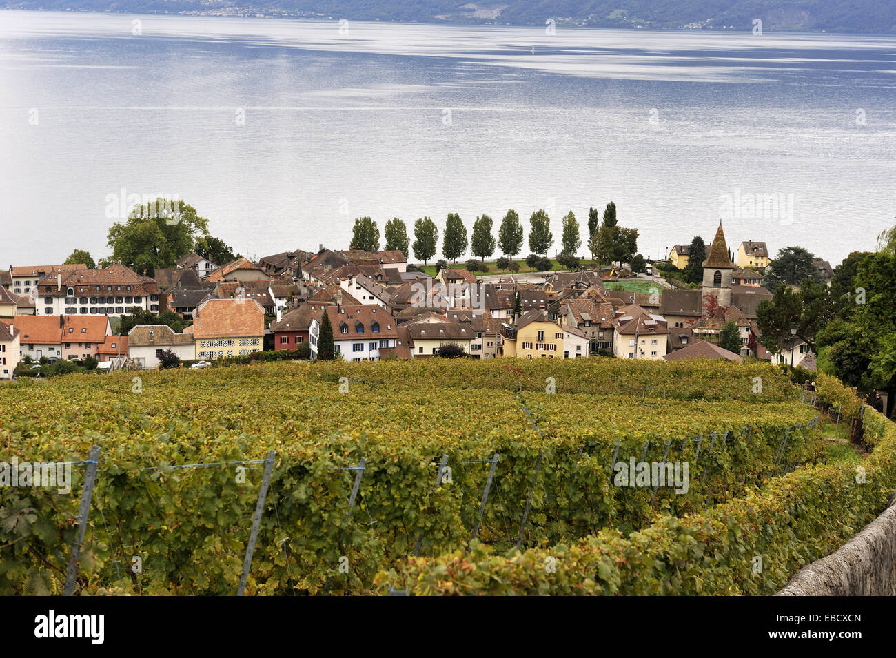 Village cully lake geneva switzerland hi-res stock photography and ...