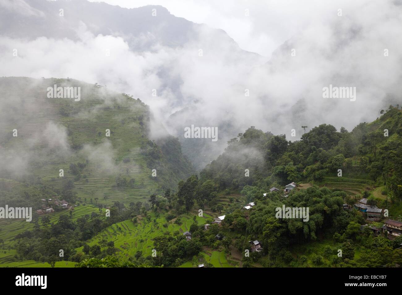 Rice fields in Nepal, Annapurna circuit Stock Photo - Alamy
