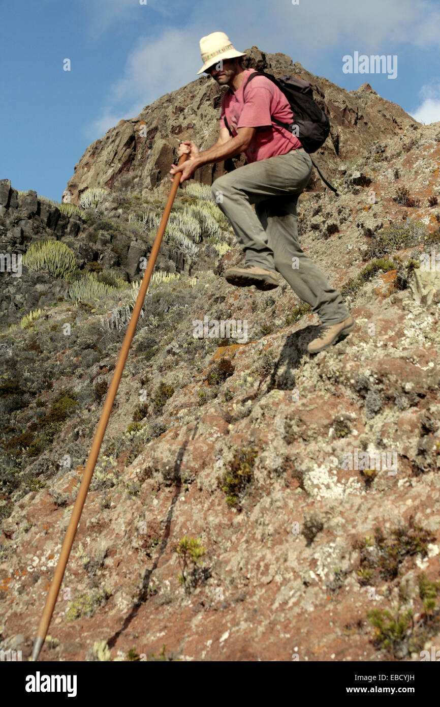 Canarian shepherd jump Stock Photo - Alamy