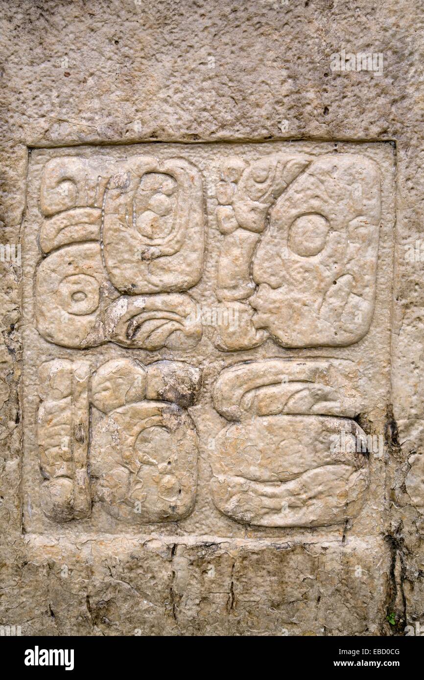 Palenque archaeological zone hi-res stock photography and images - Alamy