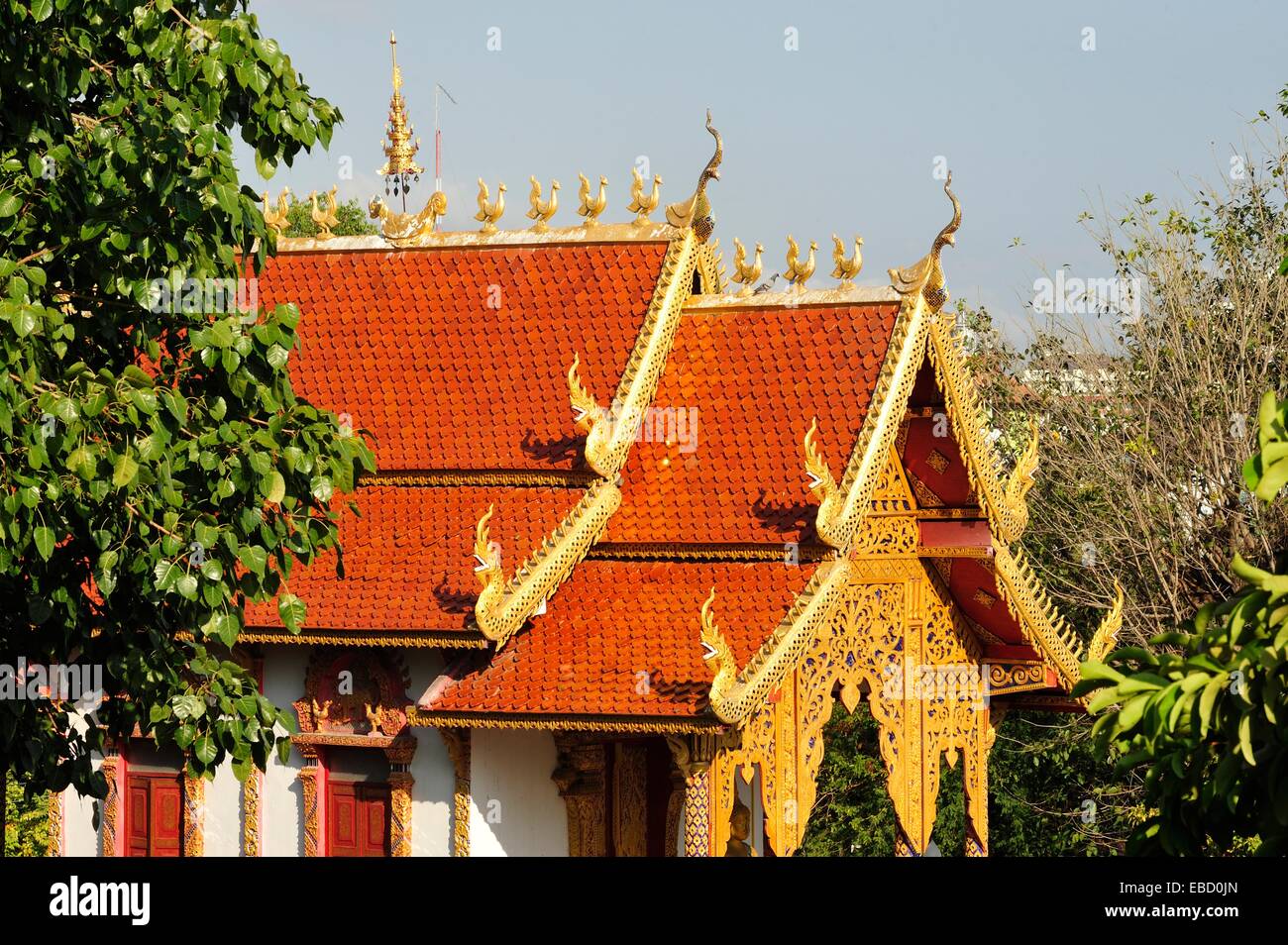 Lamchang hi-res stock photography and images - Alamy