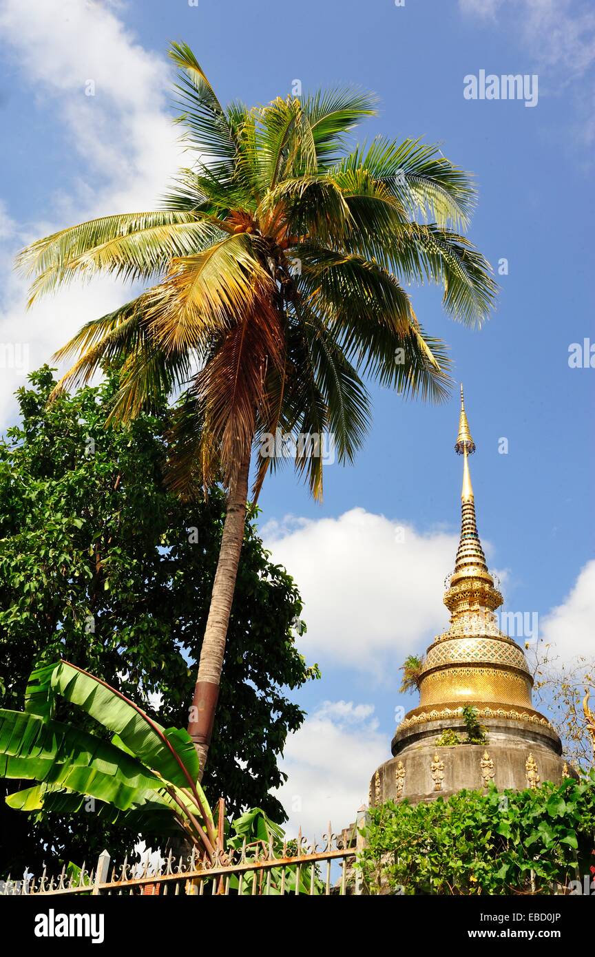 Lamchang hi-res stock photography and images - Alamy