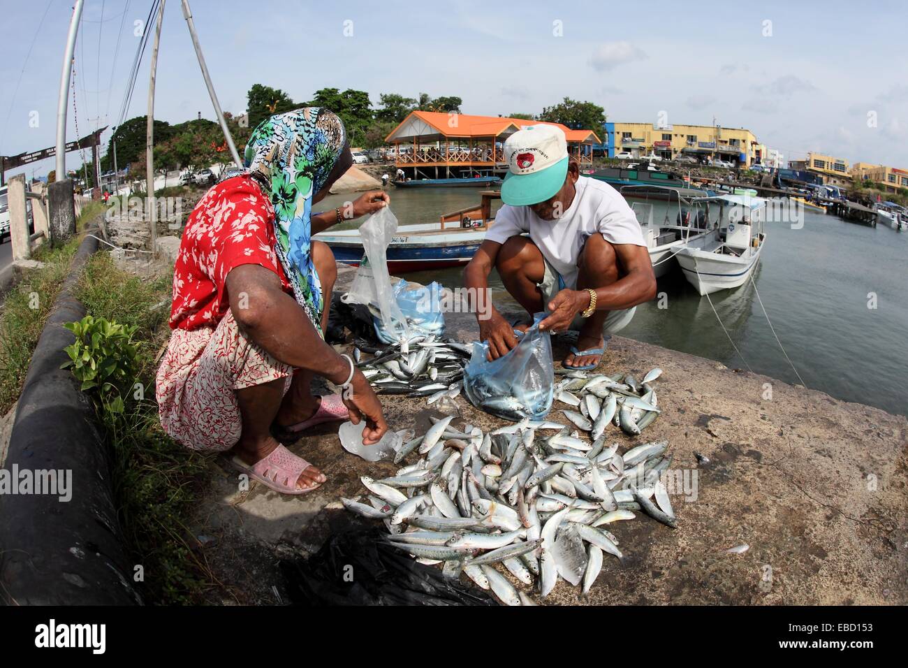 Fisherman selling fish, Semporna, Sabah, malaysia, borneo Stock Photo ...