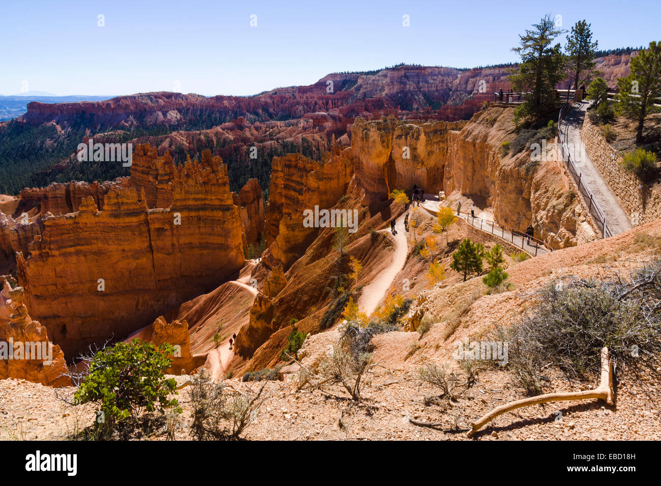Hikers on the Navajo Loop Trail leaving Sunset Point. Bryce Canyon ...