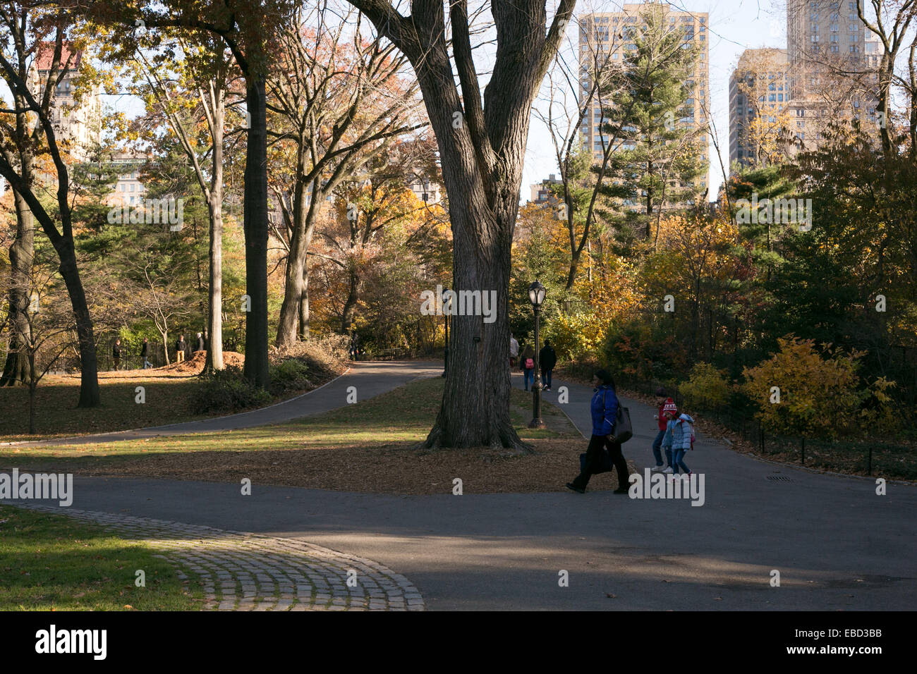 People walking in Central Park, New York City Stock Photo - Alamy
