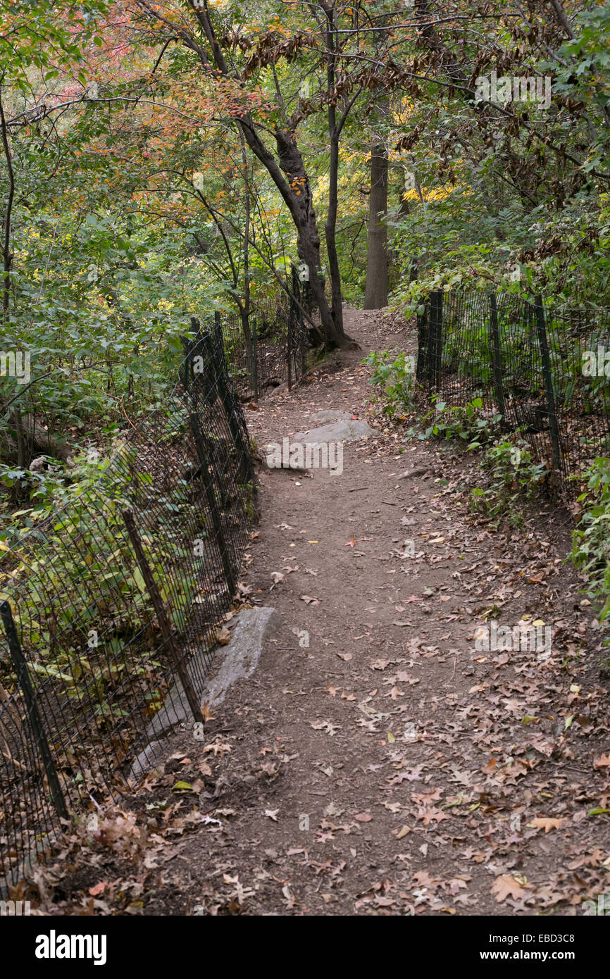 Dirt path city hi-res stock photography and images - Alamy