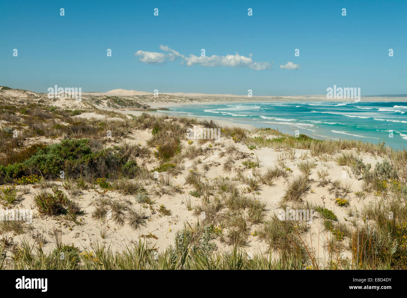 Dunes at Almonta Beach, Coffin Bay NP, SA, Australia Stock Photo - Alamy